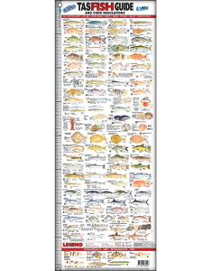 AFN SOUTH AUSTRALIA FISH ID RULER (SA) - AFN Fishing & Outdoors