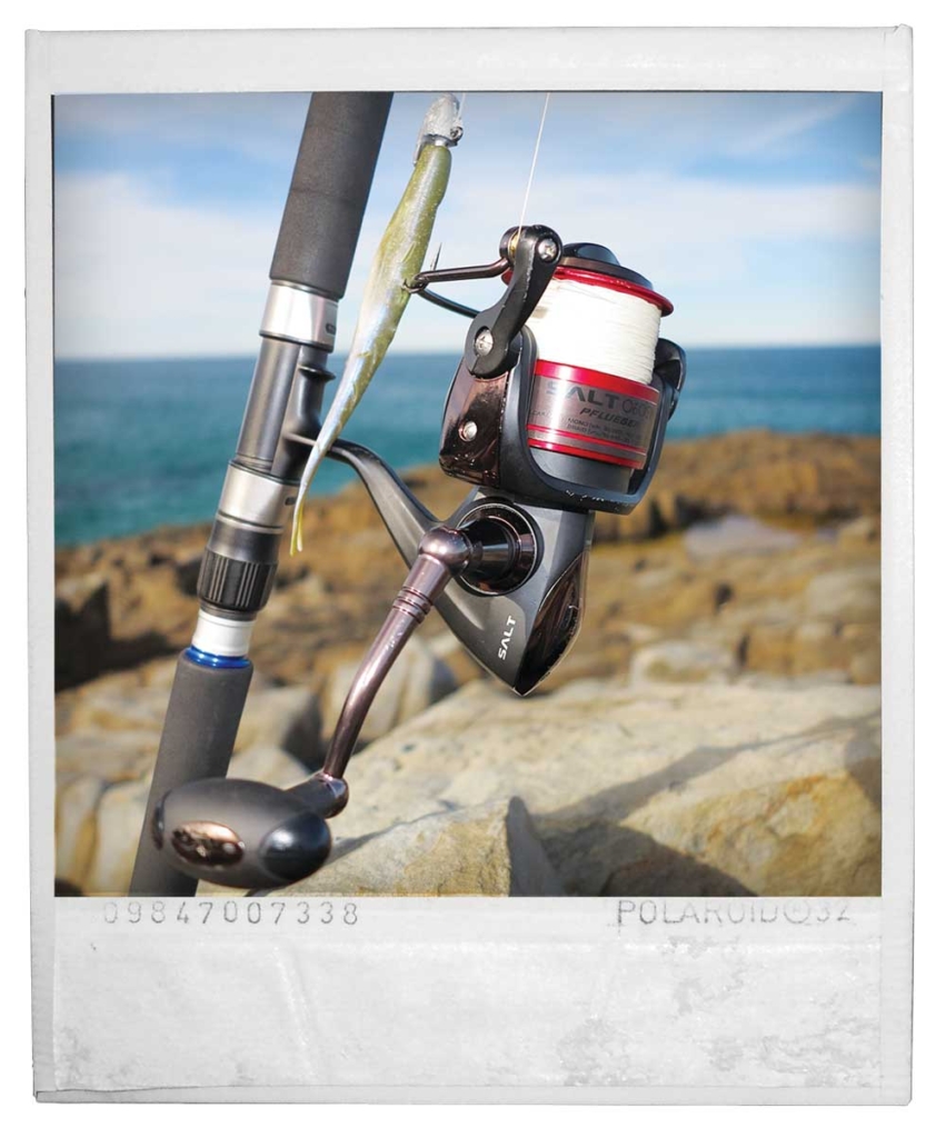 Land Based Spinning - AFN Fishing & Outdoors