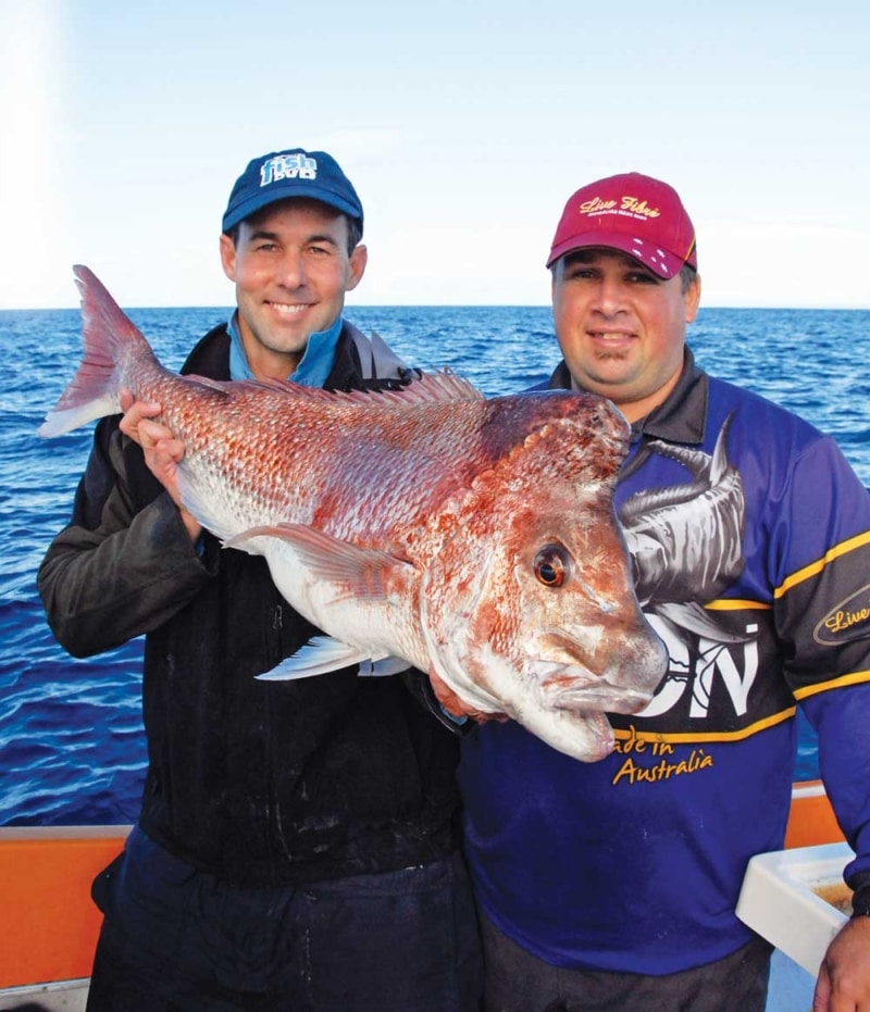LIVE BAITING DEEP WATER SNAPPER - AFN Fishing & Outdoors
