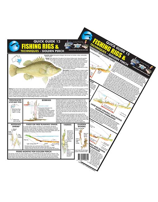 QUICK GUIDE 12 - GOLDEN PERCH - AFN Fishing & Outdoors